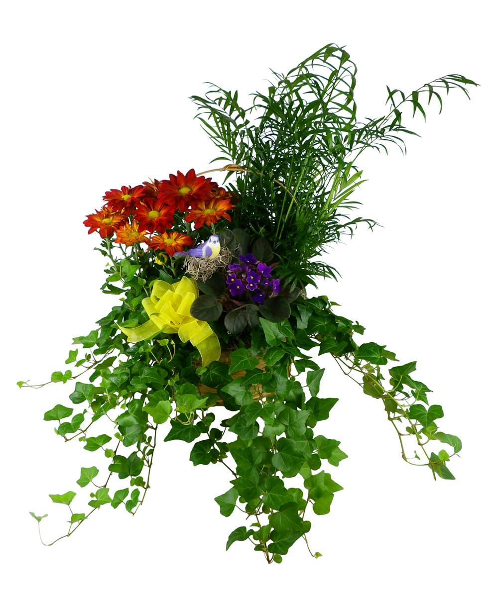 European Garden Basket | Louisville Plant Delivery