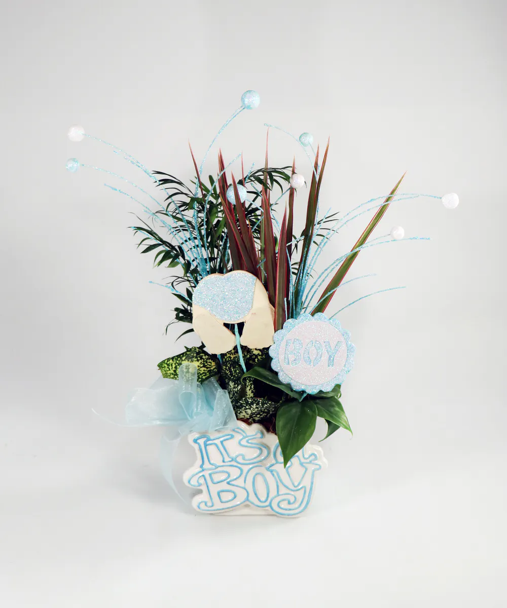 Baby Boy Planter | Louisville Gift Delivery