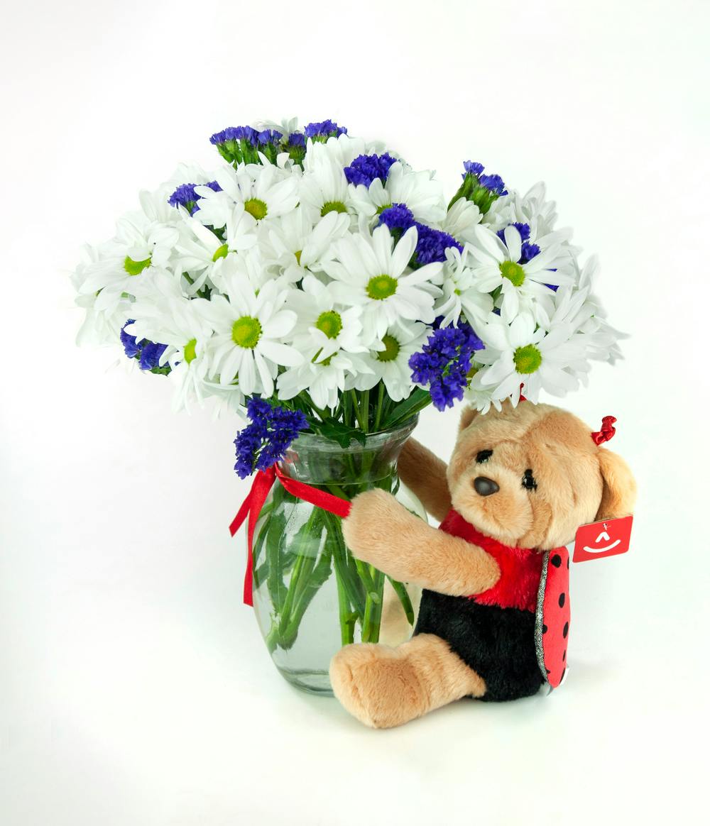 Love Bug Daisies & Bear Gift | Louisville Flowers & Gifts